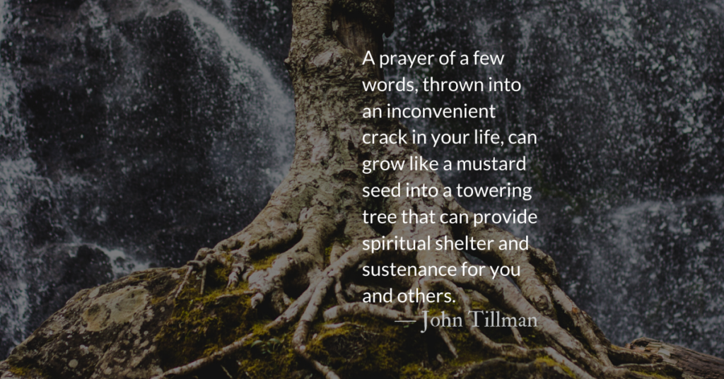 Mustard Seed Prayers - The Park Forum