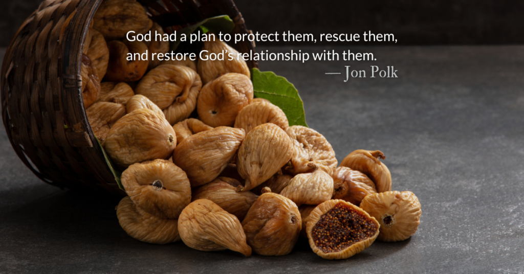 Be Good Figs - The Park Forum